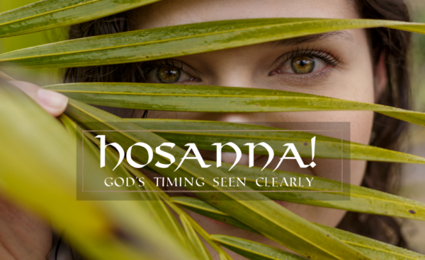 Cara Ray - Pursuing Otium Sanctum