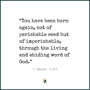 The Living and Abiding Word of God